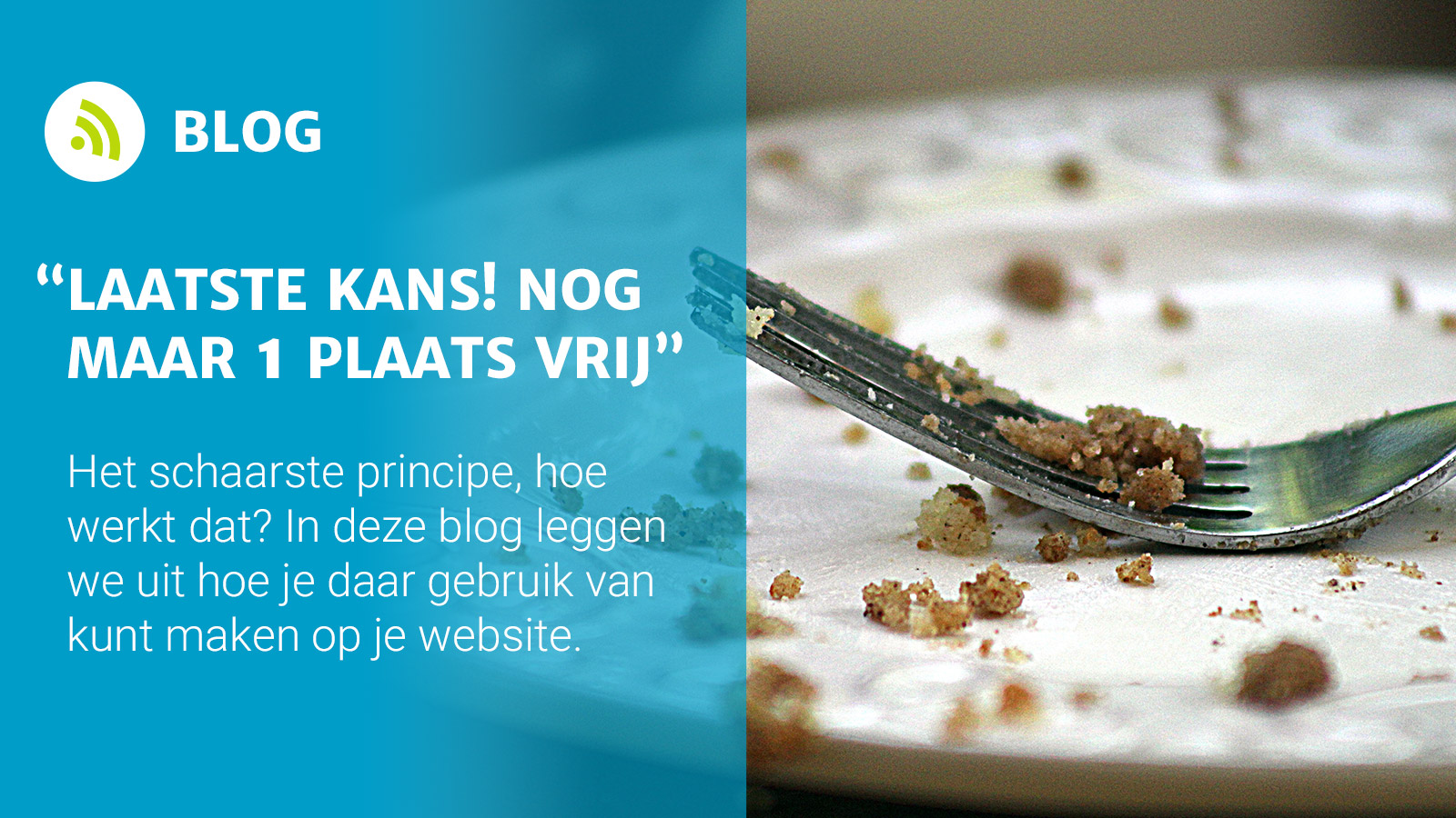 Het schaarste principe, hoe werkt het? « Holiday Media